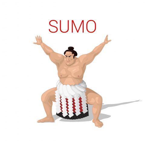 Lottatori di Sumo - rituali, categorie e tornei dello sport nazionale
